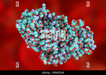 Ricin. Computer model of a molecule of the toxic protein ricin. It ...