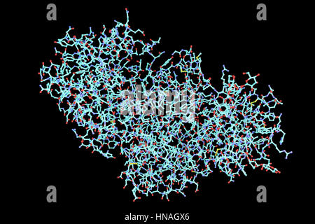 Ricin. Computer model of a molecule of the toxic protein ricin. It ...