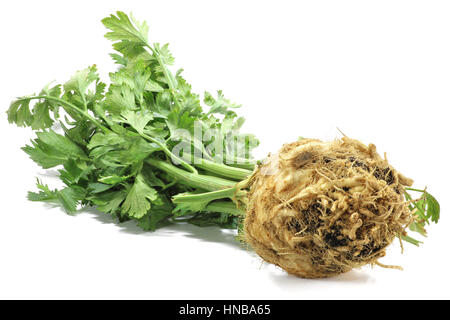 Celery, Celeriac, Turnip-rooted celery, Knob celery (Apium graveolens ...
