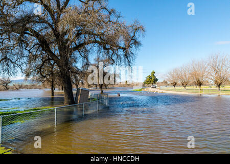 Vernalis California USA Saturday 11 February 2017 Sunny skies contrast ...