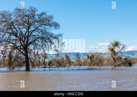Vernalis California USA Saturday 11 February 2017 Sunny skies contrast ...