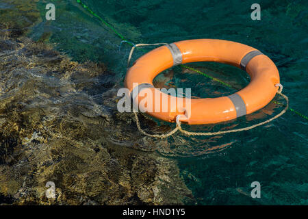 lifeline in the red sea near coral reef Stock Photo - Alamy