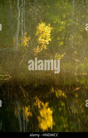 Autumn landscape of Altay. Sunset in the steppe, beautiful evening sky ...