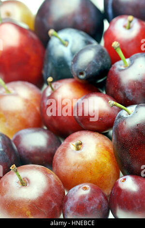 Closeup of a single plum fruit with a glossy deep purple skin,next to a ...