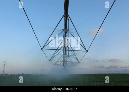 Agriculture - A mobile sprinkler irrigation system irrigates a Stock ...
