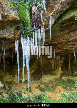 Yad Waterfall Maspie Den Falkland Fife Scotland April 2018 Stock Photo ...