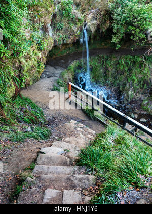 Yad Waterfall Maspie Den Falkland Fife Scotland April 2018 Stock Photo ...