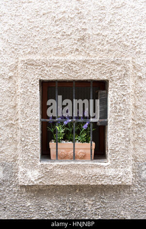 jail windows stone wall old prison building iron bars Stock Photo - Alamy