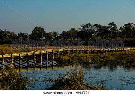 A wooden bridge in the Okavango delta leads across water to the Stock ...