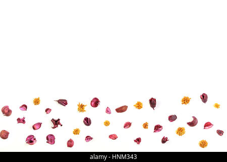 Frame of dry flowers on white background Stock Photo - Alamy