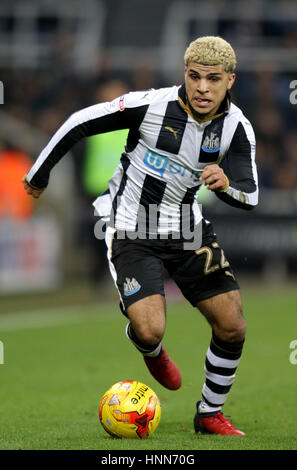 Newcastle United's DeAndre Yedlin Stock Photo - Alamy