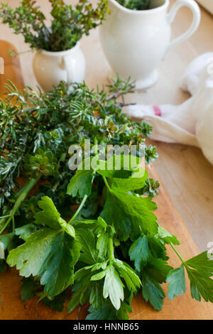 Freshly picked thyme herbs for herbal tea in the basket on summer ...