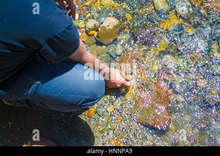 A man grabbing a stone at the river Stock Photo - Alamy