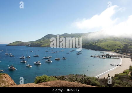 Catalina Island California Stock Photo - Alamy