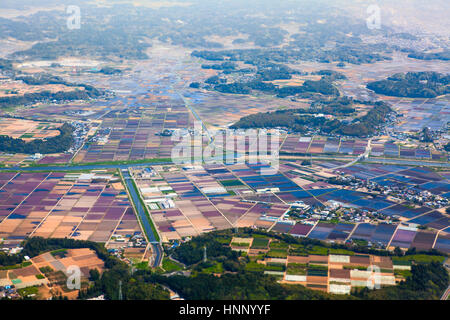 Rice fields in the fertile plains of Mindoro island, The Philippines ...