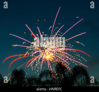 The vibrant purple and gold firework display lighting up the night sky ...