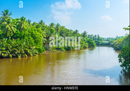 The bridge on Gin Oya river is the perfect viewpoint, overlooking the ...
