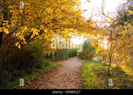 Sunset on autumn fall Parque del Turia of Valencia park in Spain Stock ...