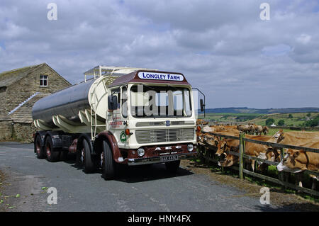 dairy lorry milk tanker farm farms farming cattle cow cows dairy dairys ...