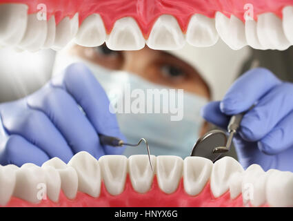 Healthy teeth. View inside the mouth of a healthy 21-year-old woman ...