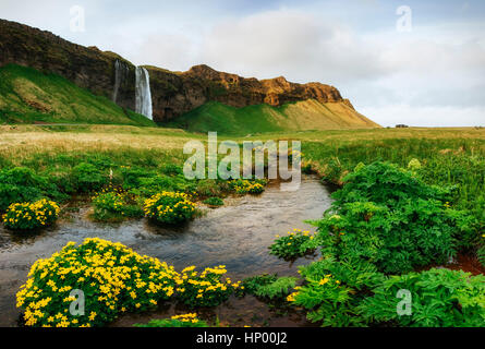 Seljalandfoss waterfall. Beautiful summer sunny day Stock Photo - Alamy