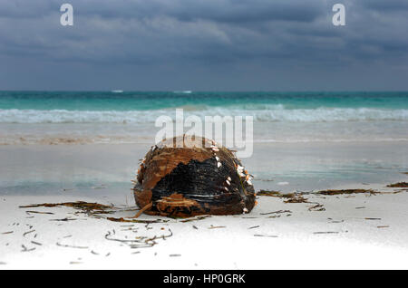 Desrted white sand beach in Sian Ka'an biosphere reserve, Quintana Roo ...