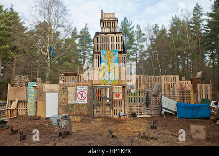 Abinger Forest, near Leith Hill, Coldharbour, Surrey, UK. 17th Feb ...