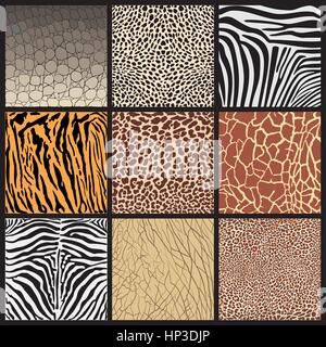 Texture skins of wild animals living in Africa Stock Vector Image & Art ...