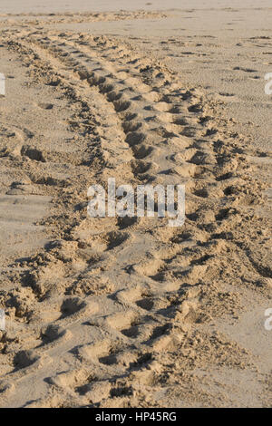 Tracks of turtle in sand on beach of Bartolome Island, Galapagos ...