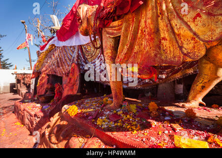 Statue of the goddess Pathivara, Pathivara Devi Temple, Nepal Stock ...