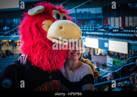 American traditional sports game. Baseball. Concept. Baseball ball and ...
