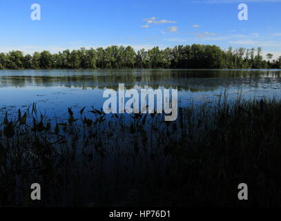 Parc national de Plaisance, Quebec, Canada, July 2016 Stock Photo - Alamy