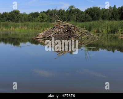 Parc national de Plaisance, Quebec, Canada, July 2016 Stock Photo - Alamy