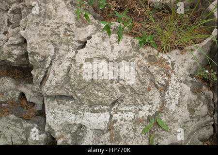 Outcrop of oolitic limestone, Xuzhou, China Stock Photo - Alamy