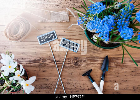 Blackboard With English Text Spring Is Coming. Sunny Spring Flowers ...