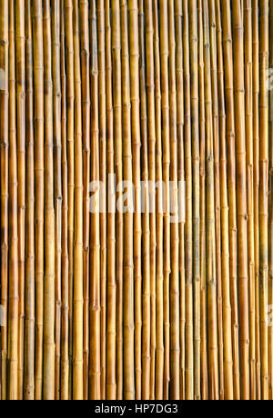 bamboo wood plank wall for background or wall paper Stock Photo - Alamy