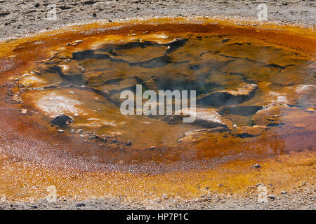 Economic Geyser, Upper Geyser Basin, Yellowstone National Park Stock ...