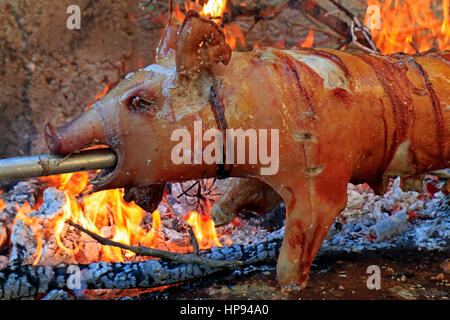 A young suckling pig on a skewer. Whole roasted pig on a rotating steel ...