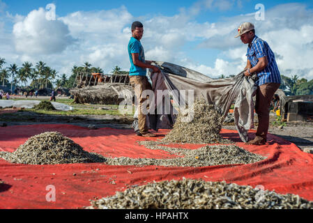 People prepare anchovies, locally called Dagaa, for drying at Mkokotoni ...