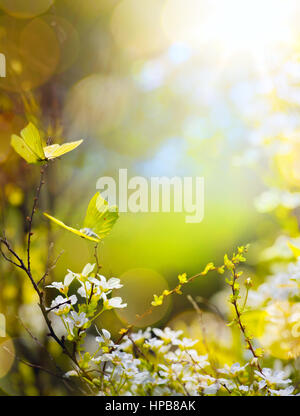 abstract sunny beautiful Spring background Stock Photo - Alamy