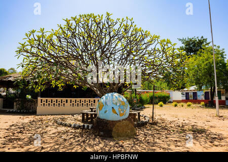 Temple tree at Tendaba Camp on the River Gambia Stock Photo - Alamy