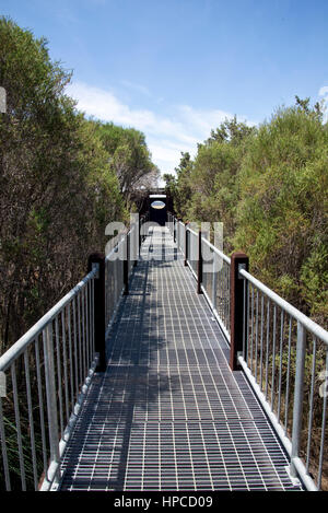 Boardwalk bridge to Lake Muir Lookout in Western Australia Stock Photo ...