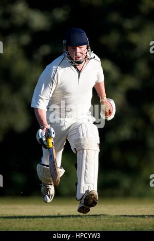 Batsman making runs Stock Photo - Alamy