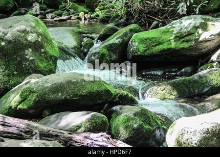 mountain stream running over mossy rocks in siberia Stock Photo - Alamy