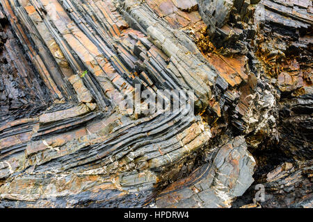 Chevron folding in geological strata at Millook Haven near Crackington ...