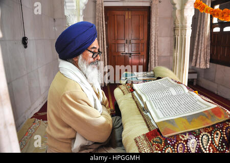 Sikh reading the "Guru Granth Sahib Stock Photo: 23741260 - Alamy