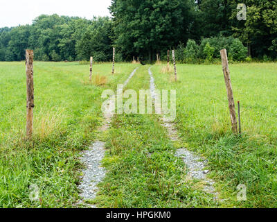 A pathway through a lush meadow towards trees and green grass Stock ...
