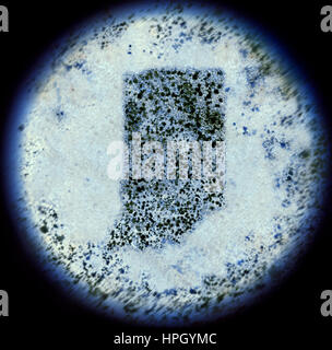 Map of Indiana, on black background, map with flag Stock Photo - Alamy