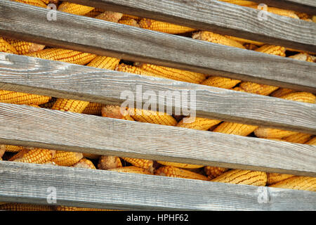 Corn stack, Corn silo. Old corn Stock Photo - Alamy
