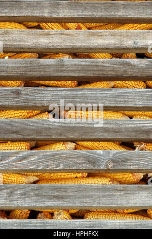 Corn stack, Corn silo. Old corn Stock Photo - Alamy